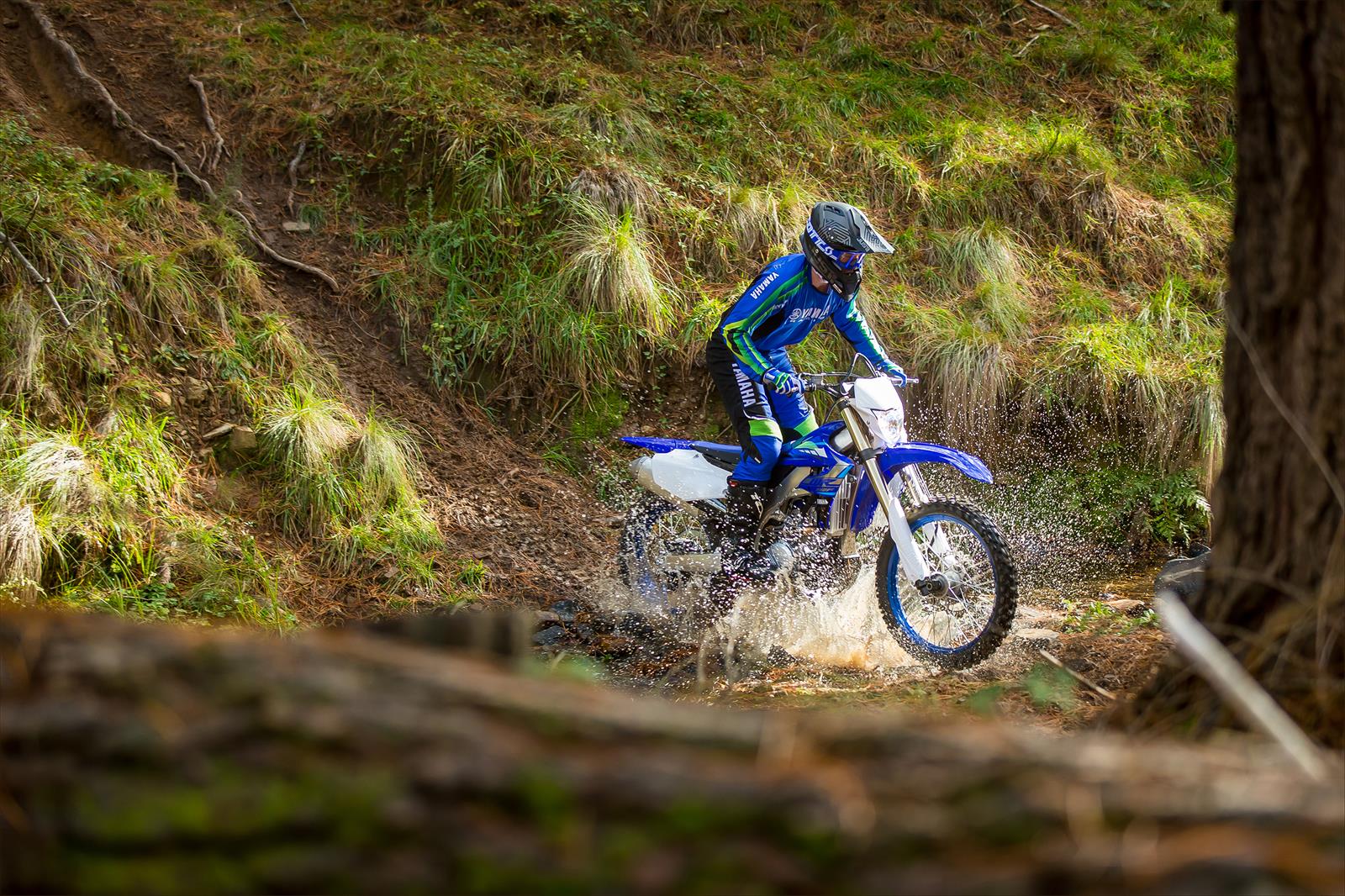 WR 250F - Yamaha Honduras